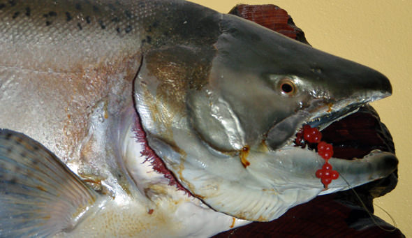 Really, really bad taxidermy!