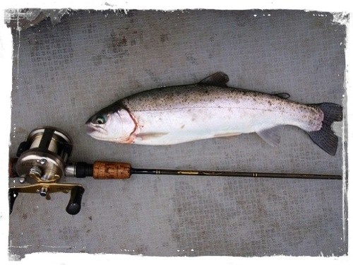 Set a Drift for Spooky Trout